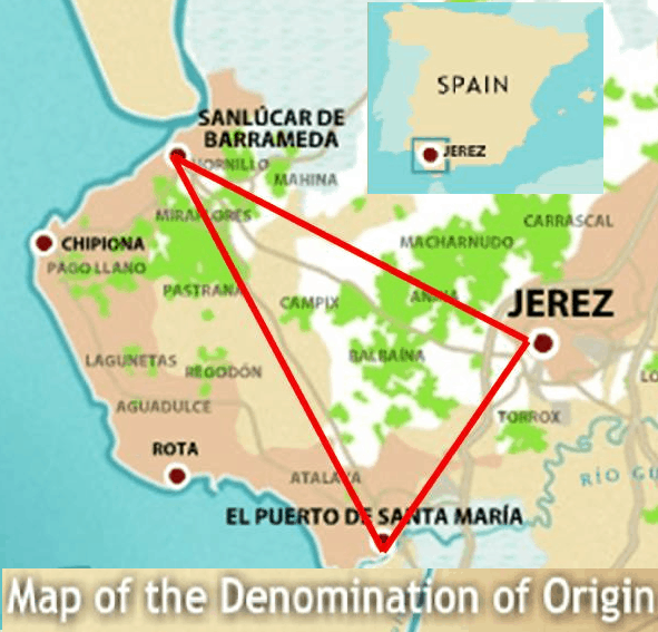 Lo Sherry: La storia dei vini liquorosi spagnoli in Andalusia e le ...