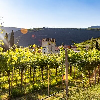 Le migliori 10 cantine da visitare in Valpolicella - Decanto Wine