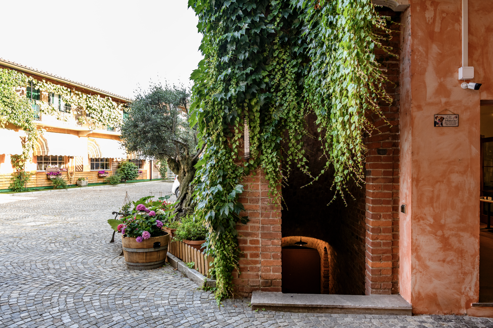 Recensione di Gattinara "Cesare", 2017 di Anzivino - Decanto Wine