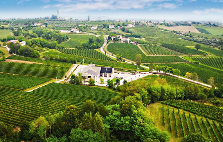 Le migliori cantine da visitare in Veneto • Decanto - Giornale di vino ...