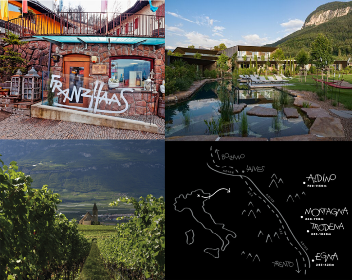 Le migliori cantine da visitare in Trentino Alto Adige • Decanto ...