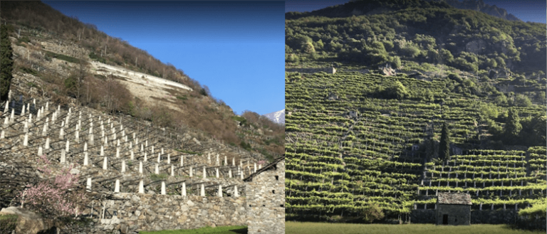 Le migliori cantine da visitare in Valle d’Aosta • Decanto - Giornale ...