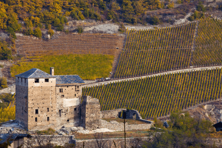 Le migliori cantine da visitare in Valle d’Aosta • Decanto - Giornale ...