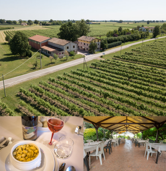 Le migliori cantine da visitare in Emilia Romagna • Decanto - Giornale ...