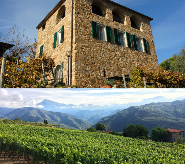 Le migliori cantine da visitare in Liguria • Decanto - Giornale di vino ...