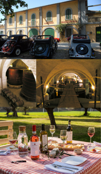 Le migliori cantine da visitare in Abruzzo • Decanto - Giornale di vino ...