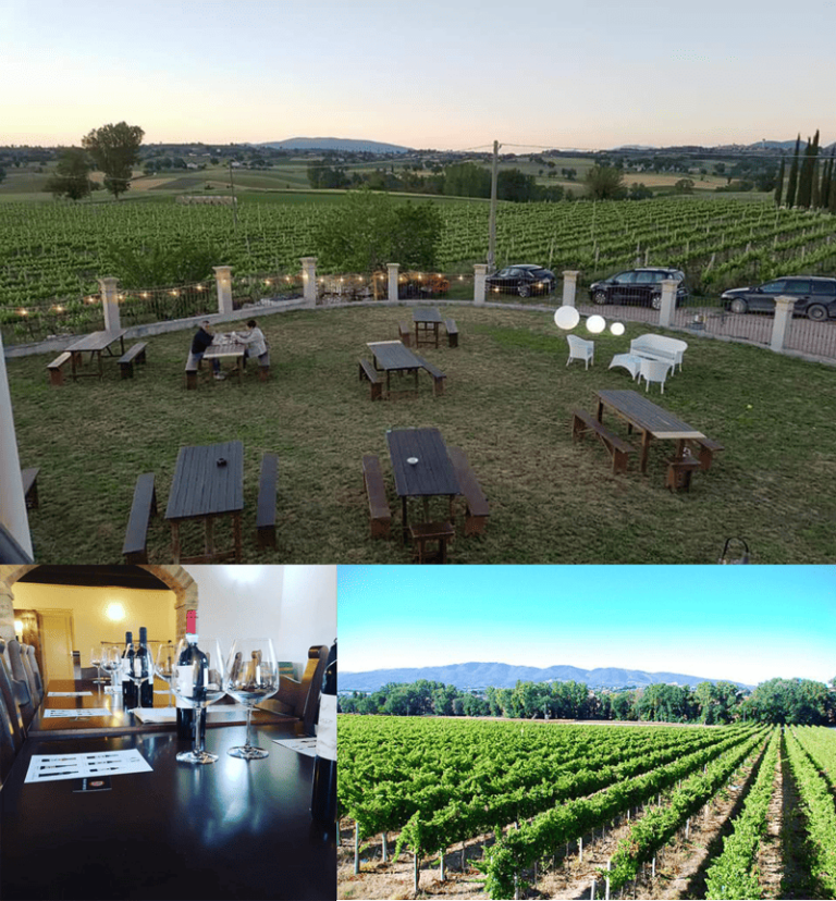 Le migliori cantine da visitare in Umbria • Decanto - Giornale di vino ...