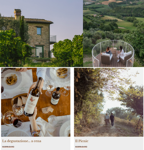 Le migliori cantine da visitare nelle Marche • Decanto - Giornale di ...