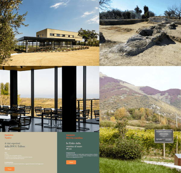 Le migliori cantine da visitare in Abruzzo • Decanto - Giornale di vino ...