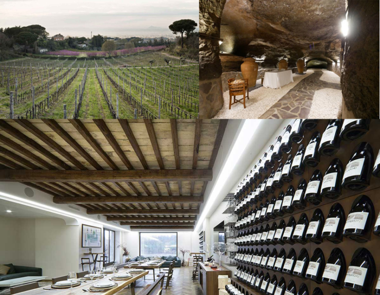 Le migliori cantine da visitare nel Lazio • Decanto - Giornale di vino ...