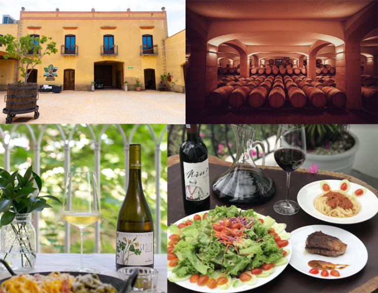 Le migliori cantine da visitare in Sicilia • Decanto - Giornale di vino ...