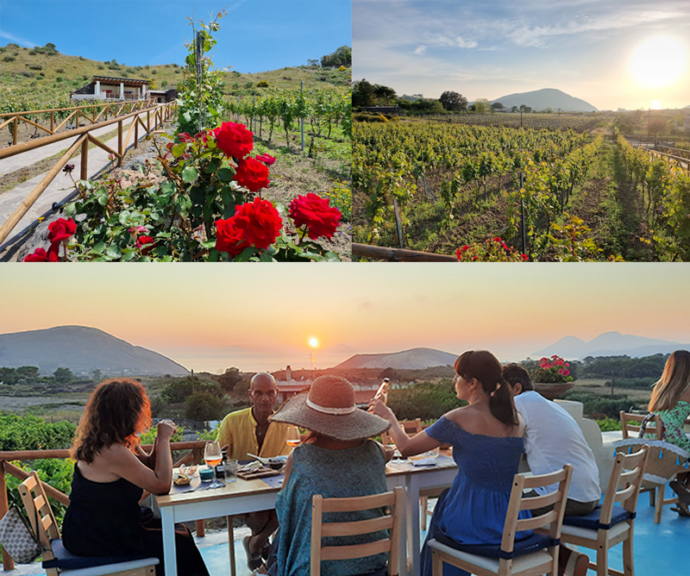 Le migliori cantine da visitare in Sicilia • Decanto - Giornale di vino ...